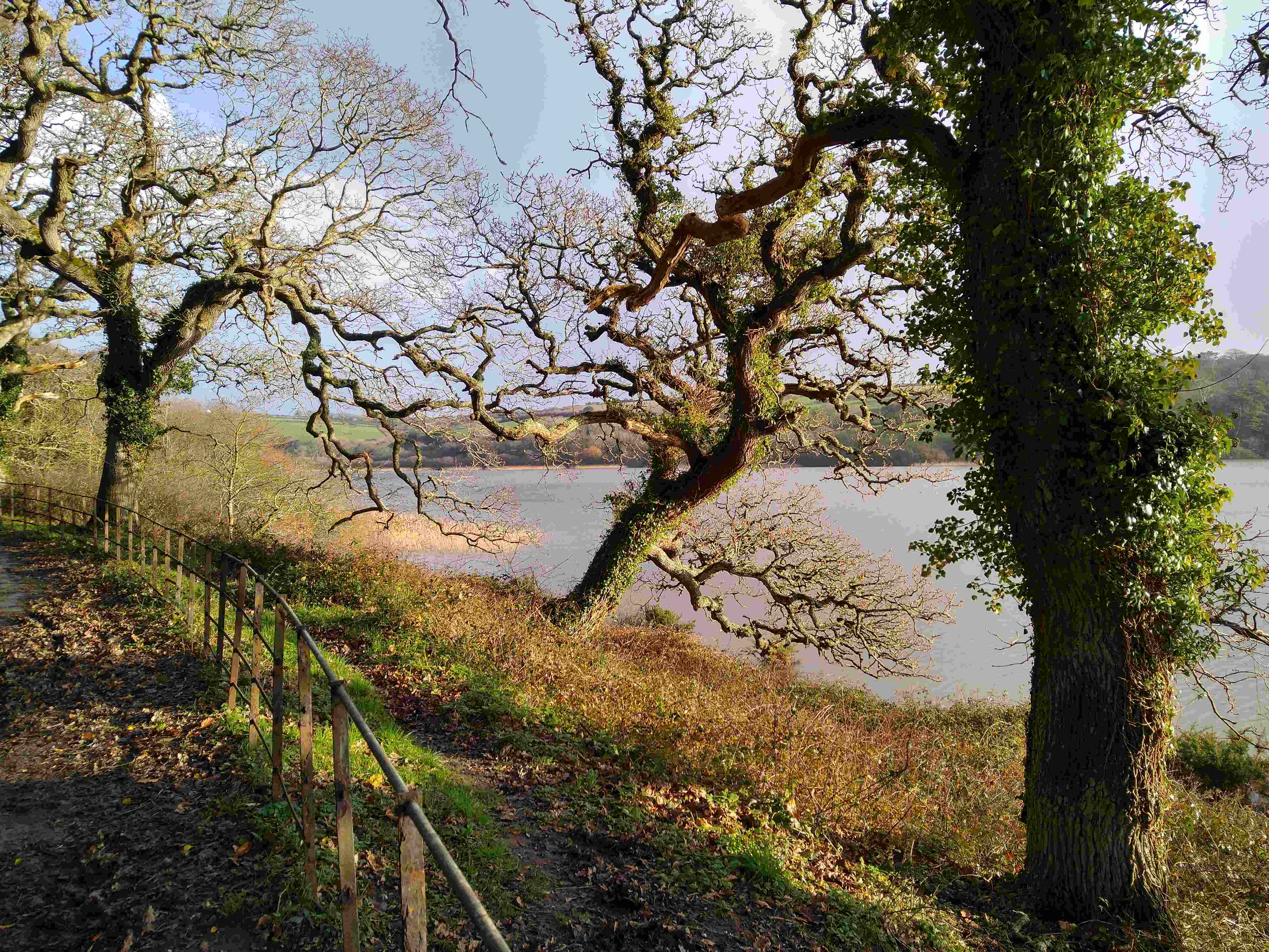 Cornwall walks and attractions – Goldies on tour