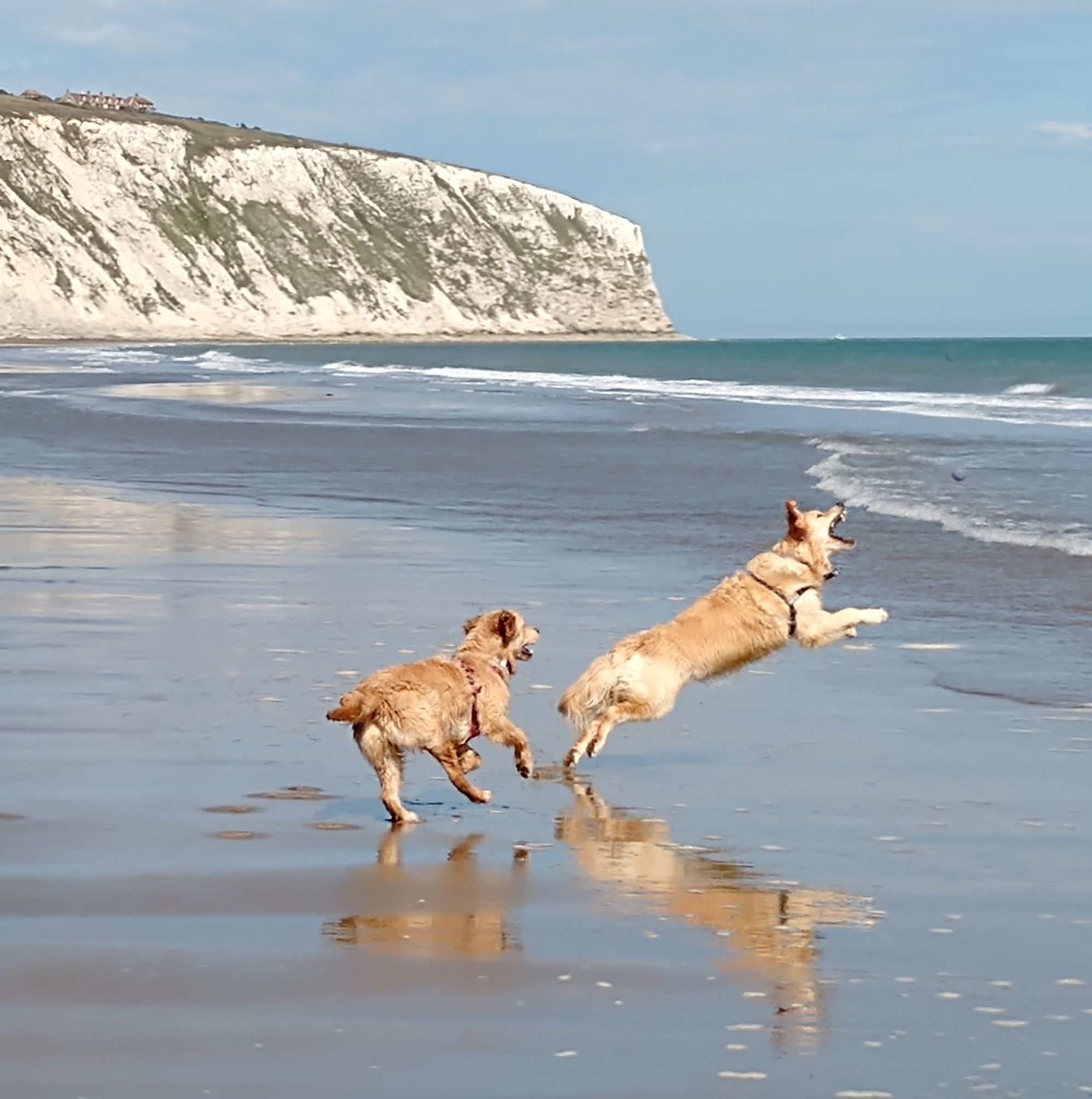 Isle of Wight – Goldies on tour